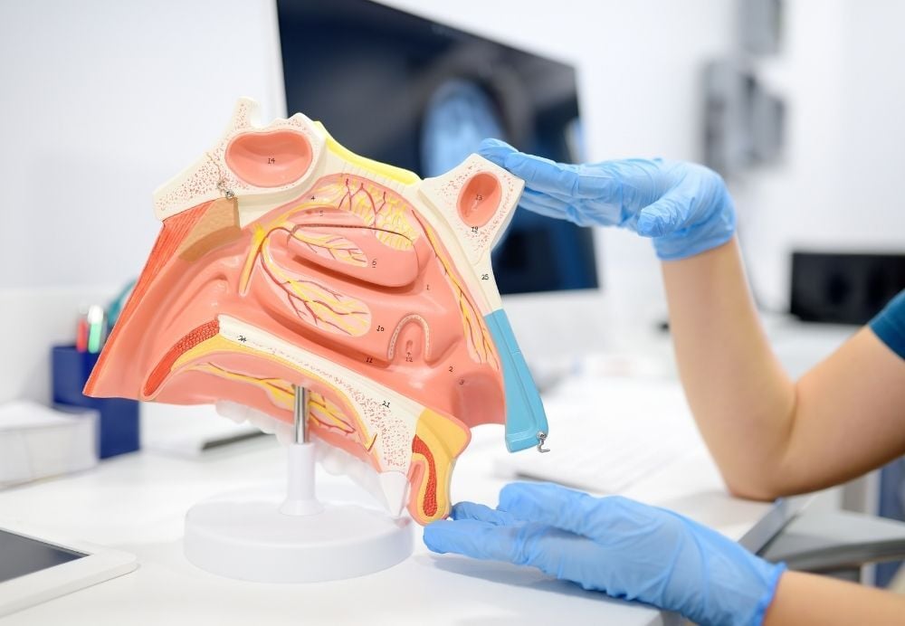 Septoplasty and Turbinectomy Packages | Matilda International Hospital